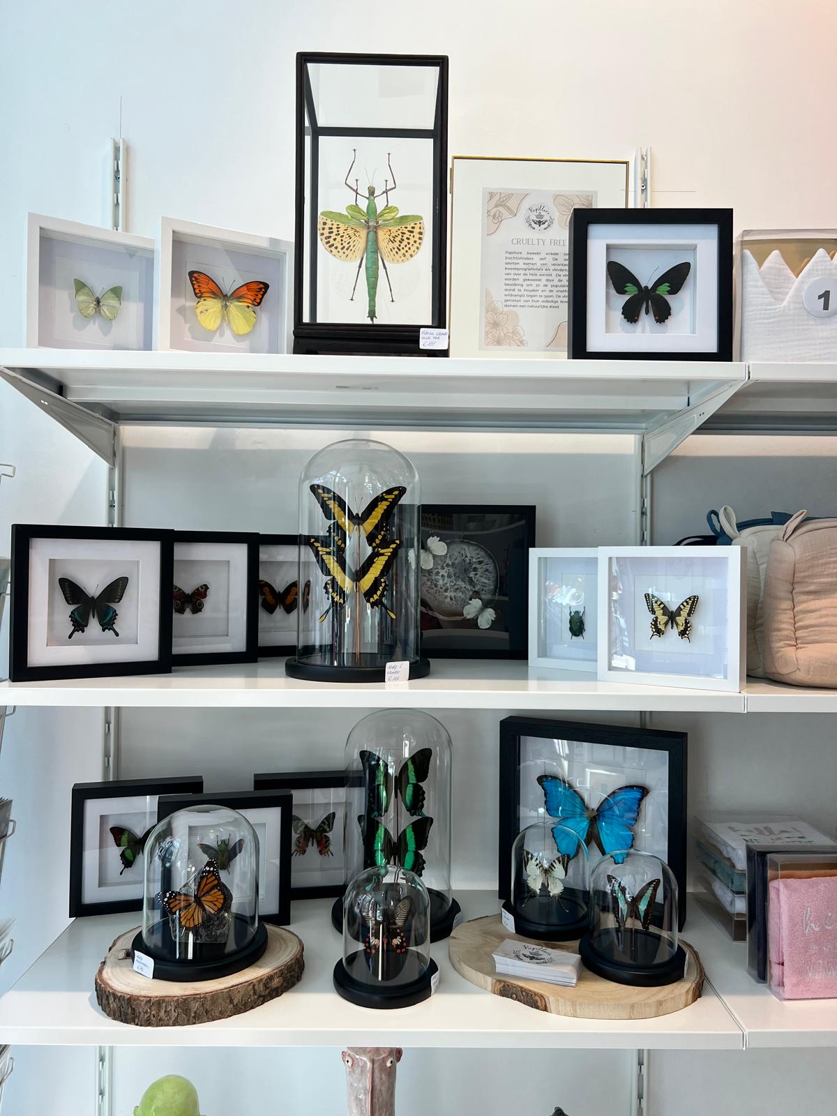 Verkooppunten – papillore